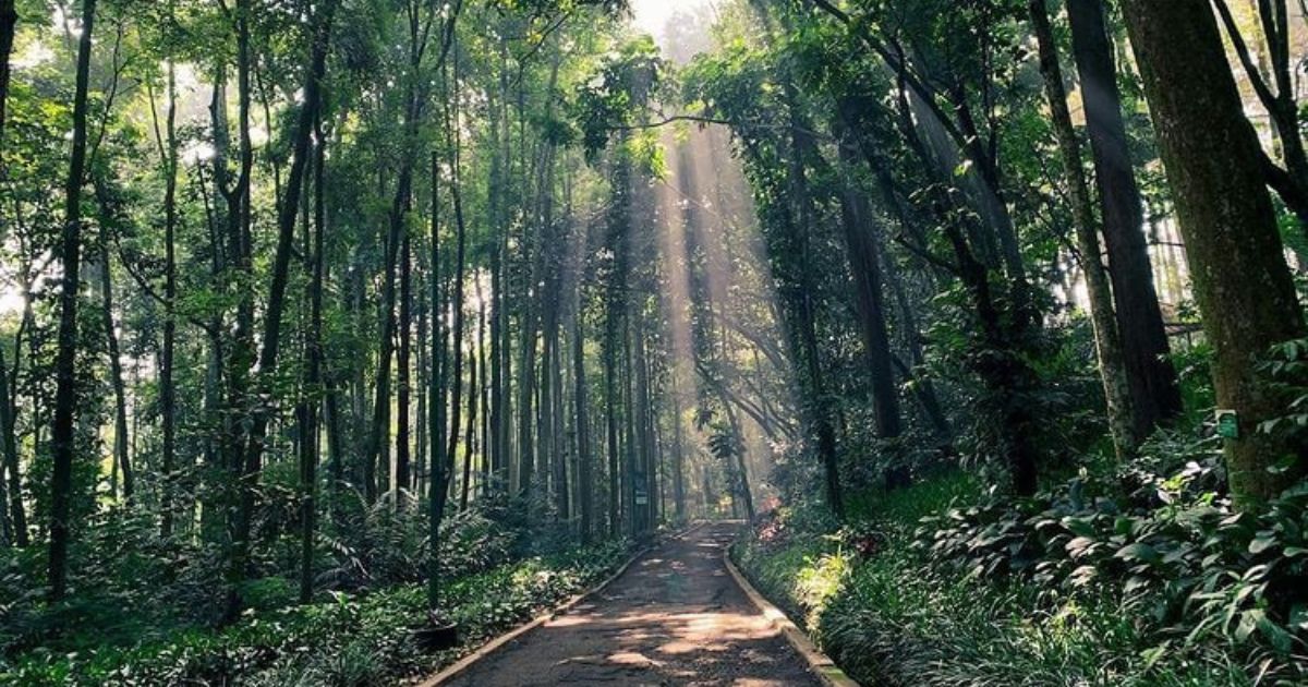 15 Rekomendasi Tempat Lari di Bandung yang Hits dan Kekinian
